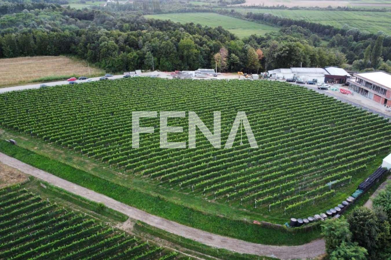 Fena.ba | Najnovije vijesti iz BiH, regiona i svijeta